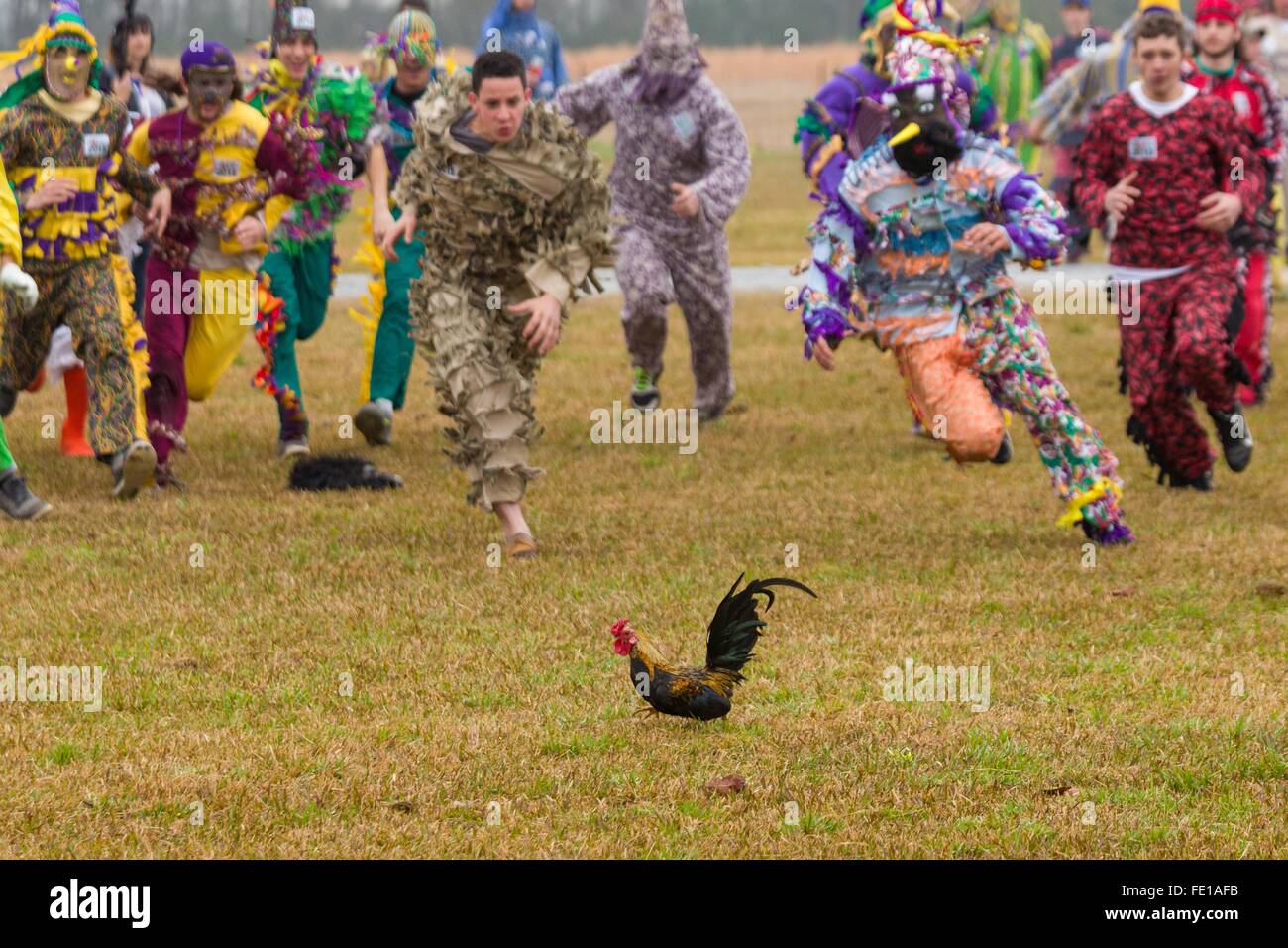Revelers try to grab a live chicken during the traditional Cajun Courir ...