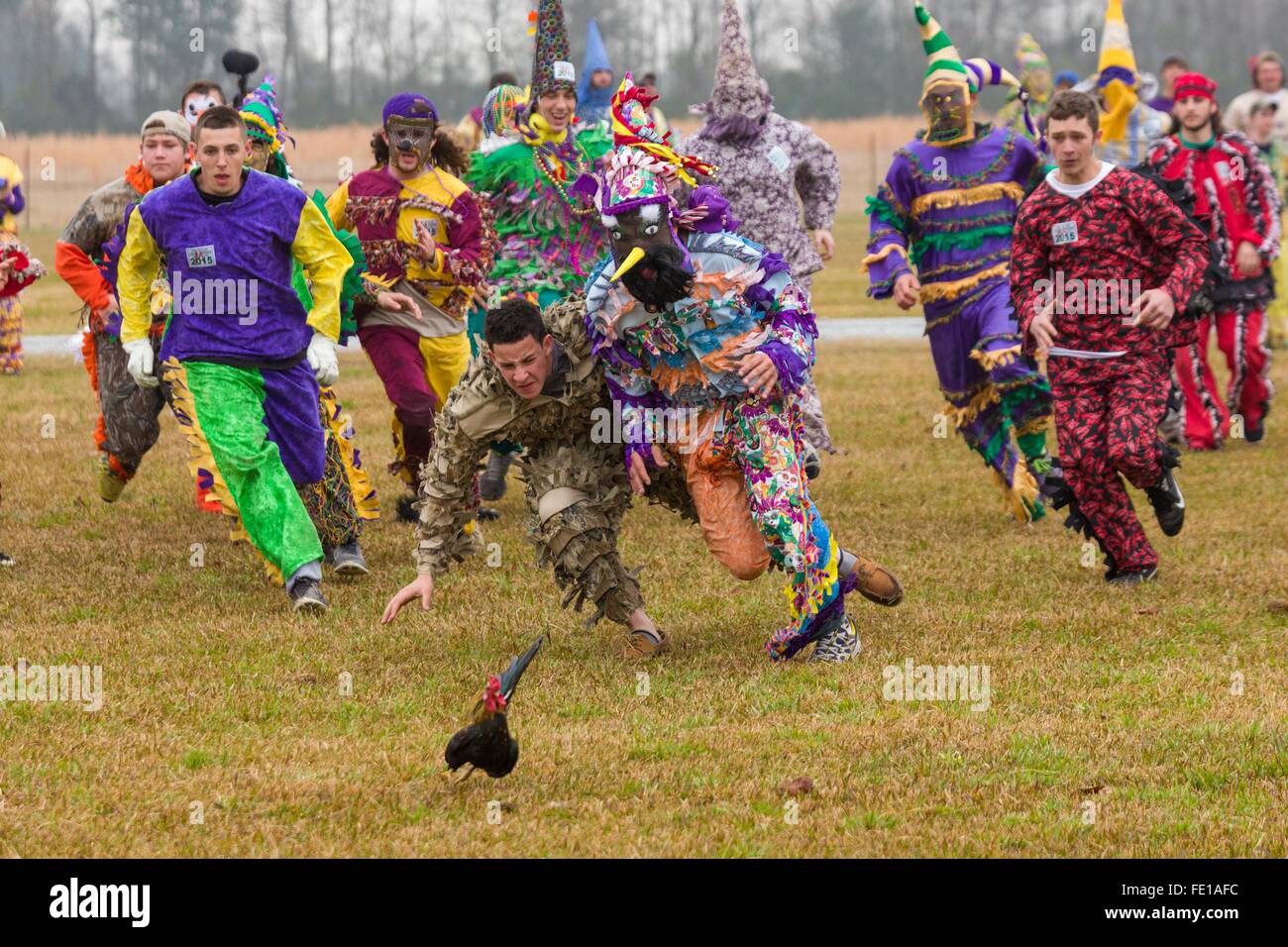 Revelers try to grab a live chicken during the traditional Cajun Courir ...