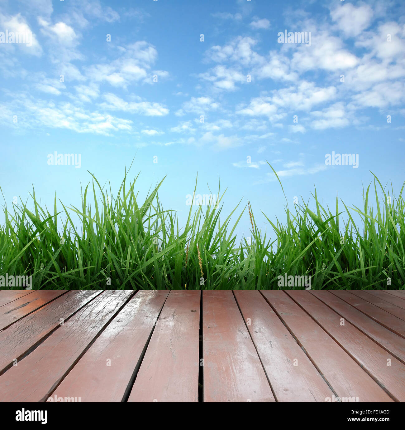 wooden terrace and blue sky Stock Photo - Alamy