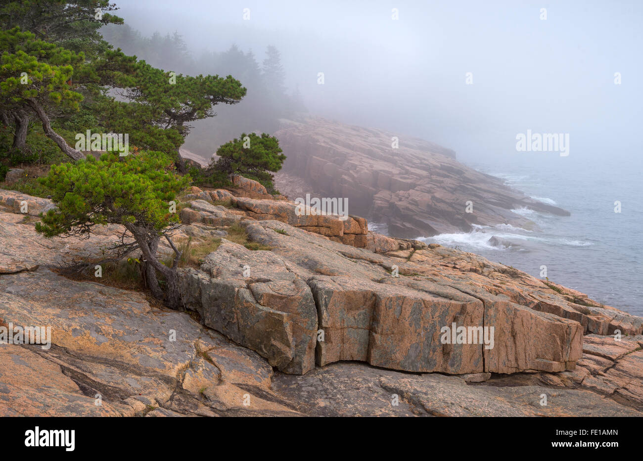 Acadia National Park, Maine: Fog blankets the granite shoreline near ...
