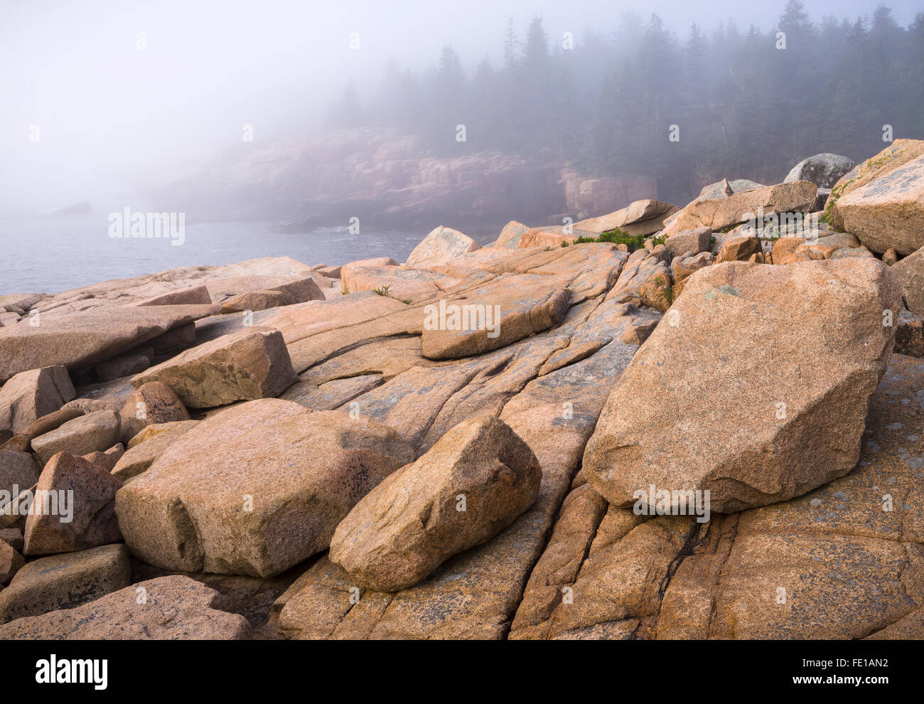 Acadia National Park, Maine: Fog blankets the granite shoreline near ...
