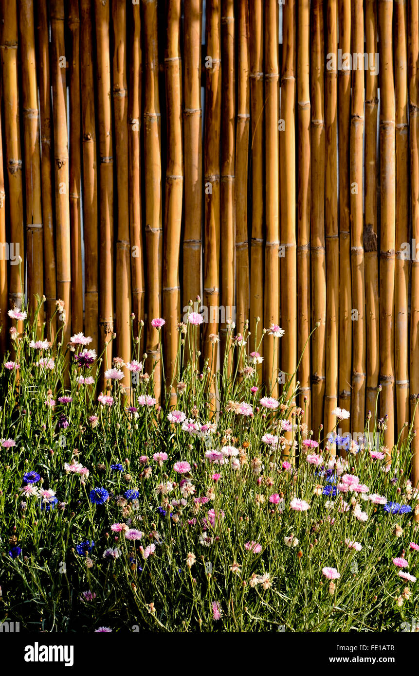 Beautiful bamboo architecture hi-res stock photography and images - Alamy