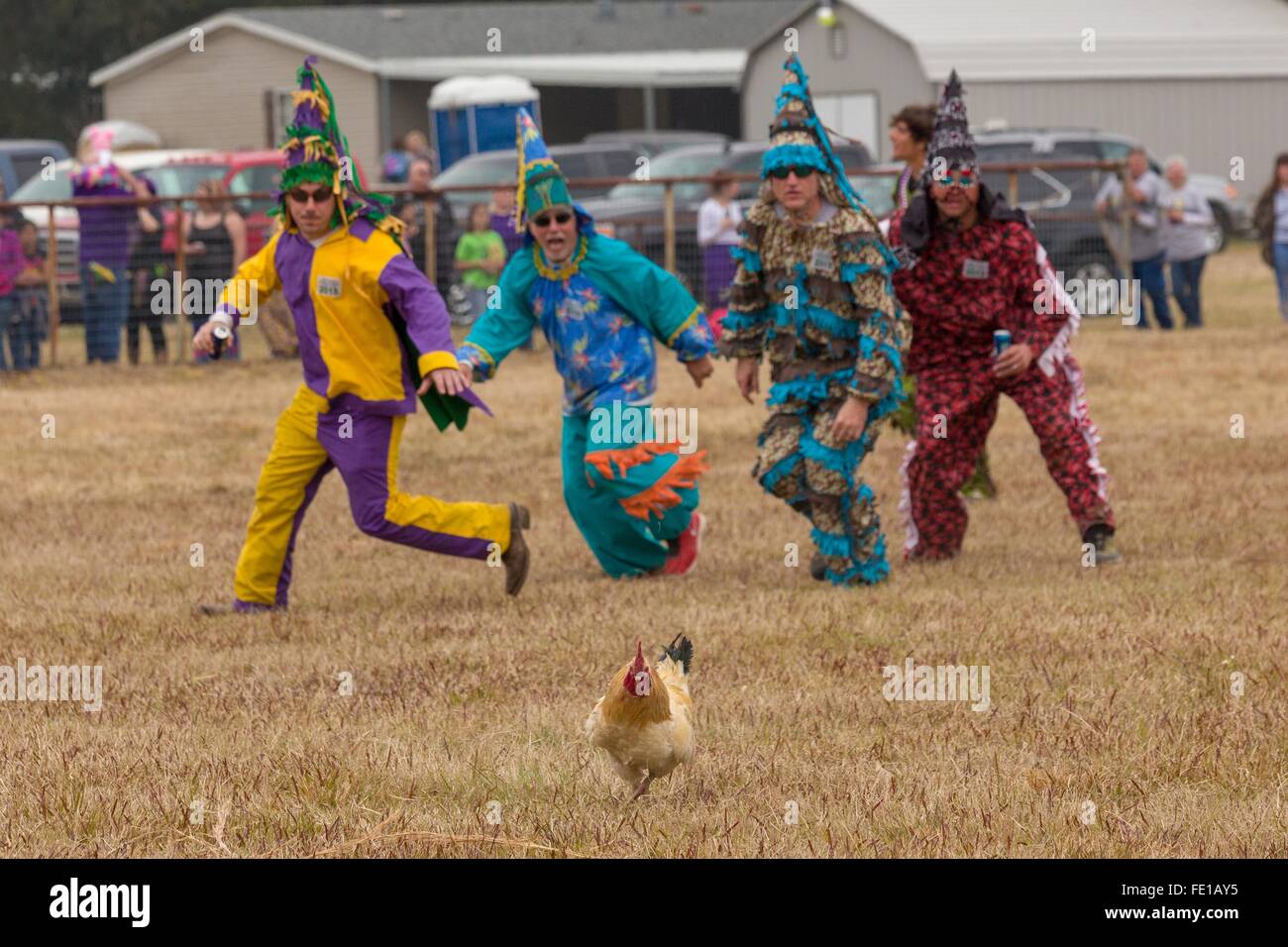 Revelers try to grab a live chicken during the traditional Cajun Courir ...