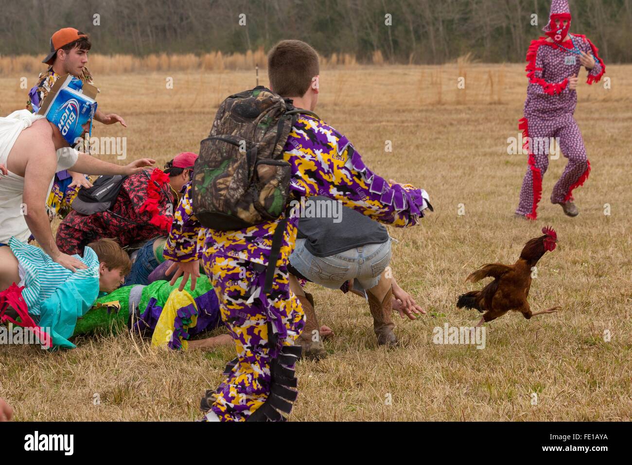 Revelers try to grab a live chicken during the traditional Cajun Courir ...