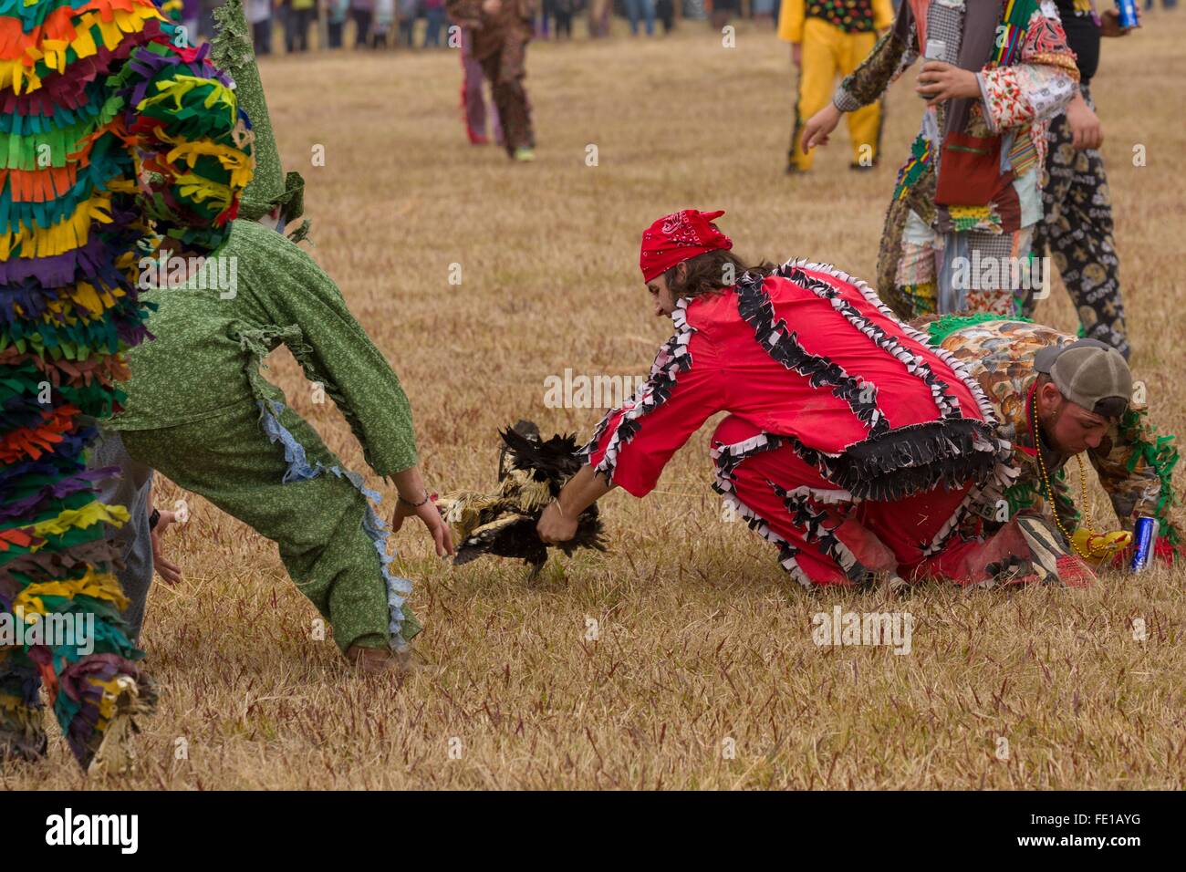 Revelers try to grab a live chicken during the traditional Cajun Courir ...