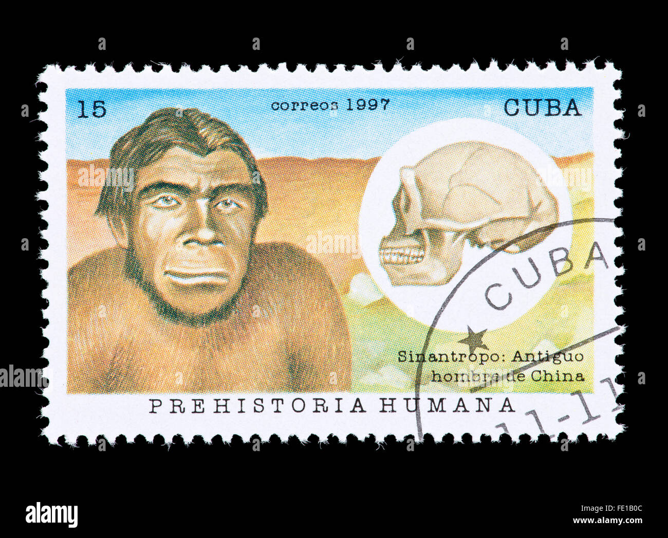 Postage stamp from Cuba depicting Sinanthropus (Peking man) and skull ...