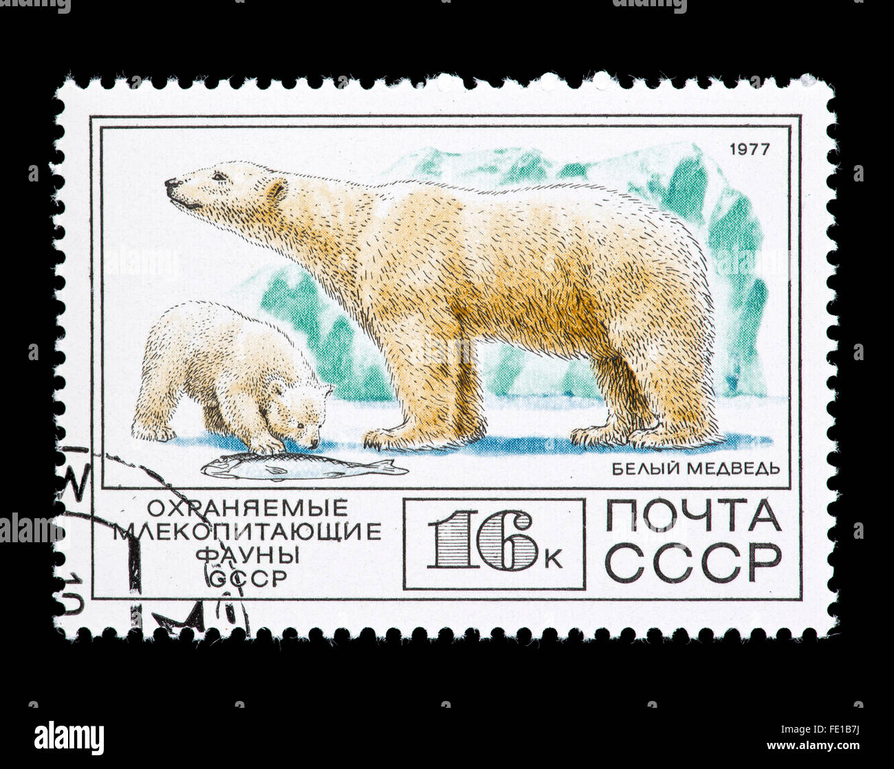 Postage stamp from the Soviet Union depicting a polar bear (Ursus ...
