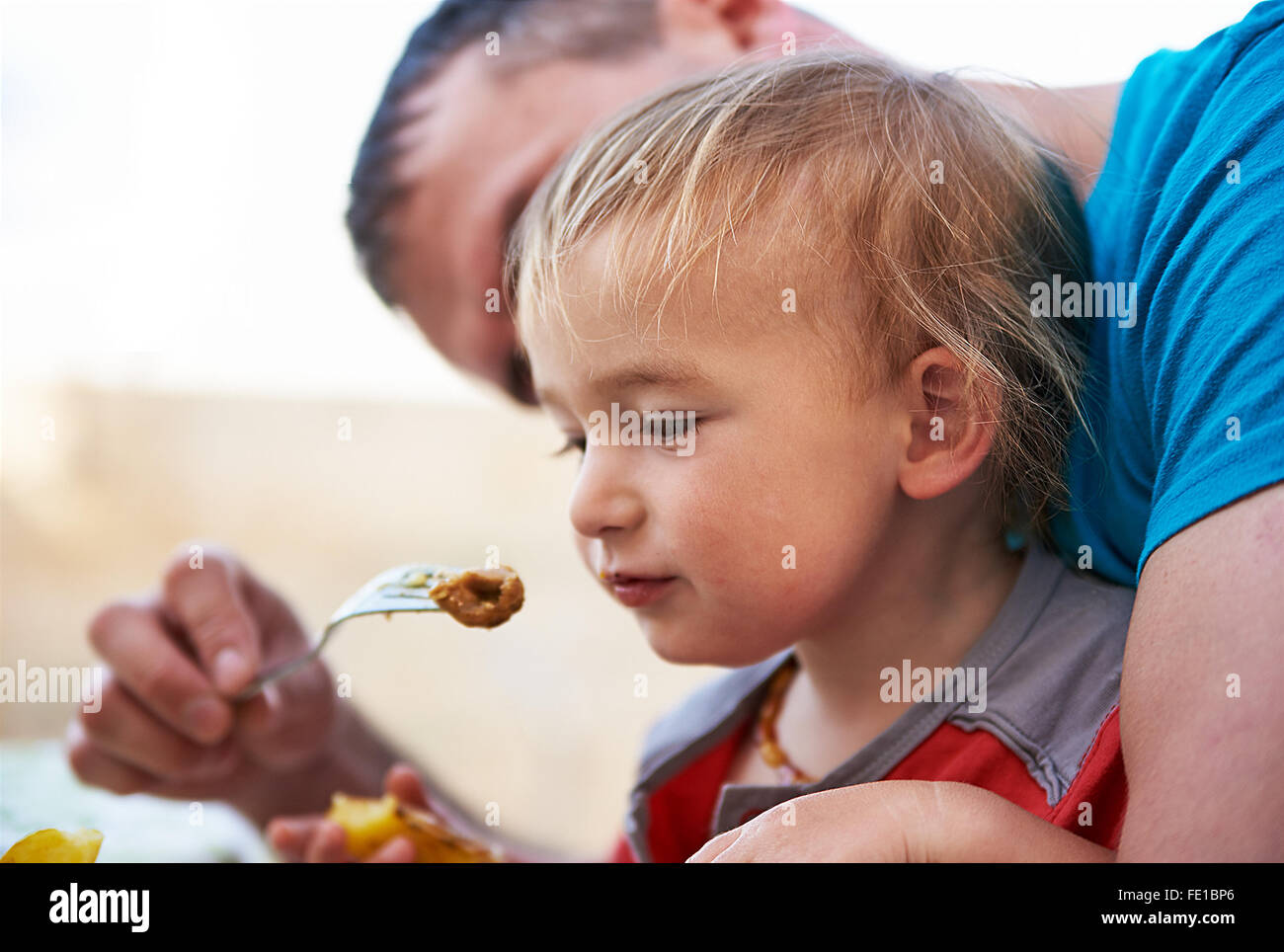 Young father feeding his child son little boy at the table Stock Photo ...
