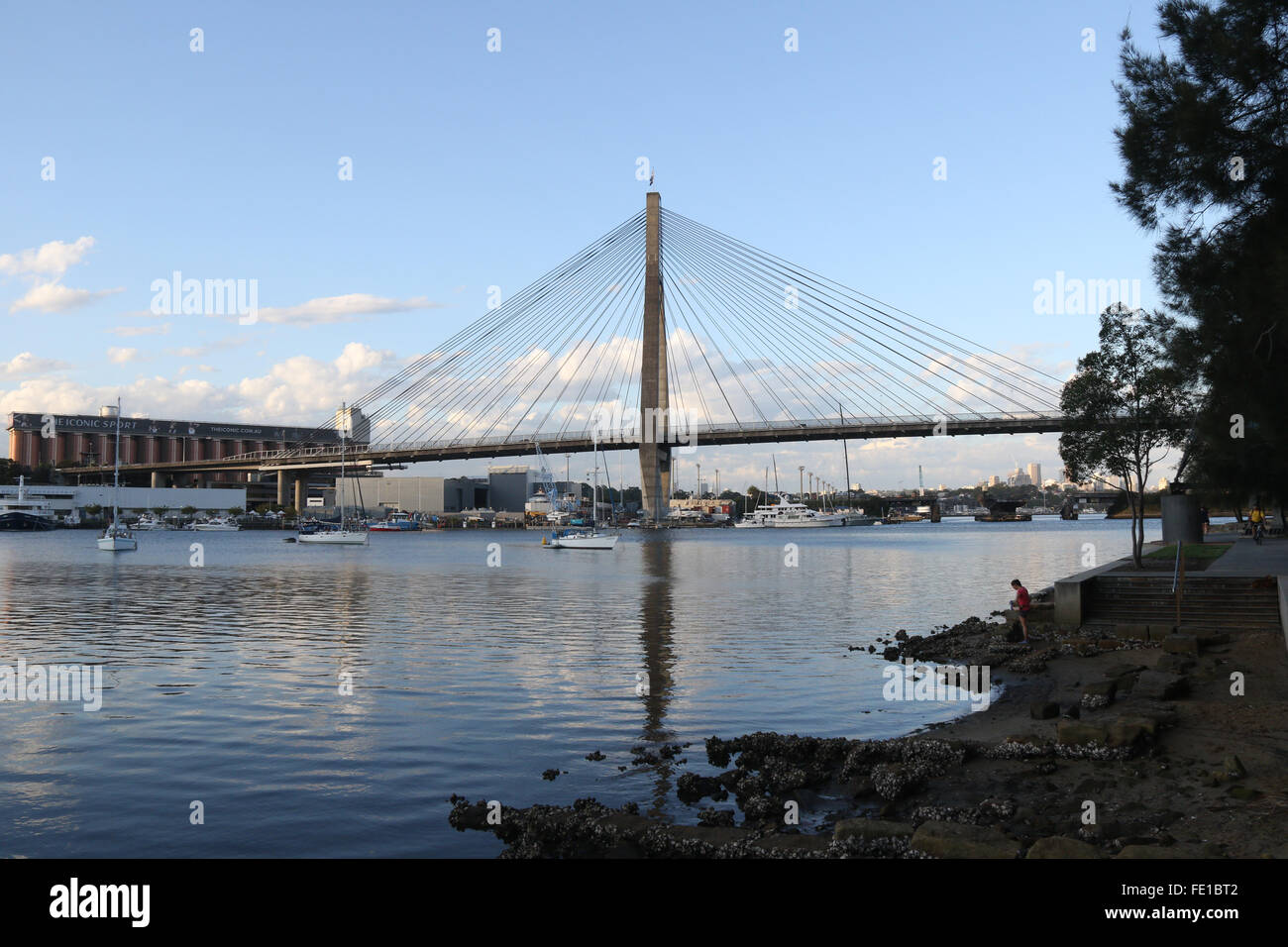 The ANZAC Bridge viewed from the Glebe foreshore walk – Sydney ...