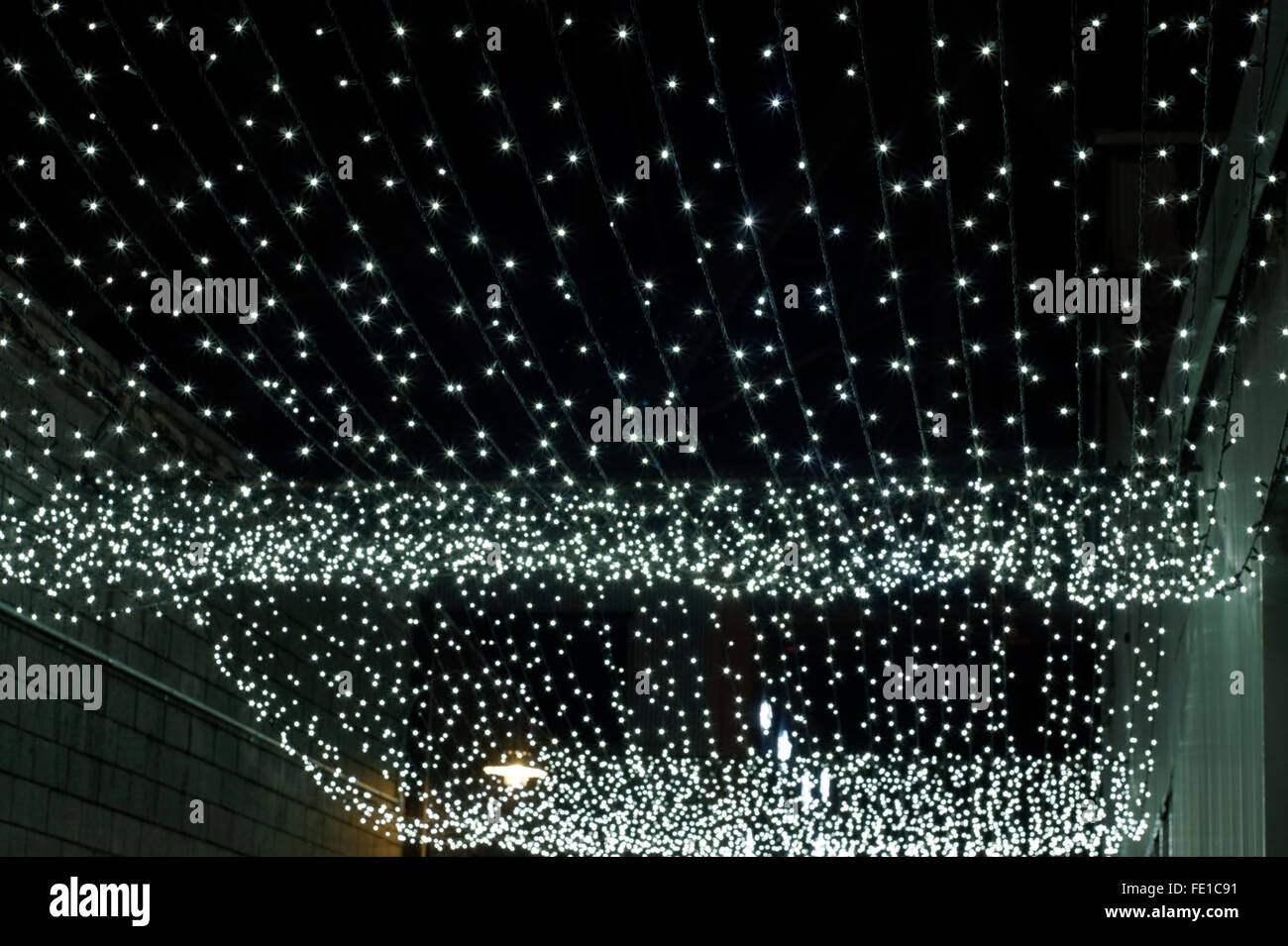 Canopy overhead hi-res stock photography and images - Alamy