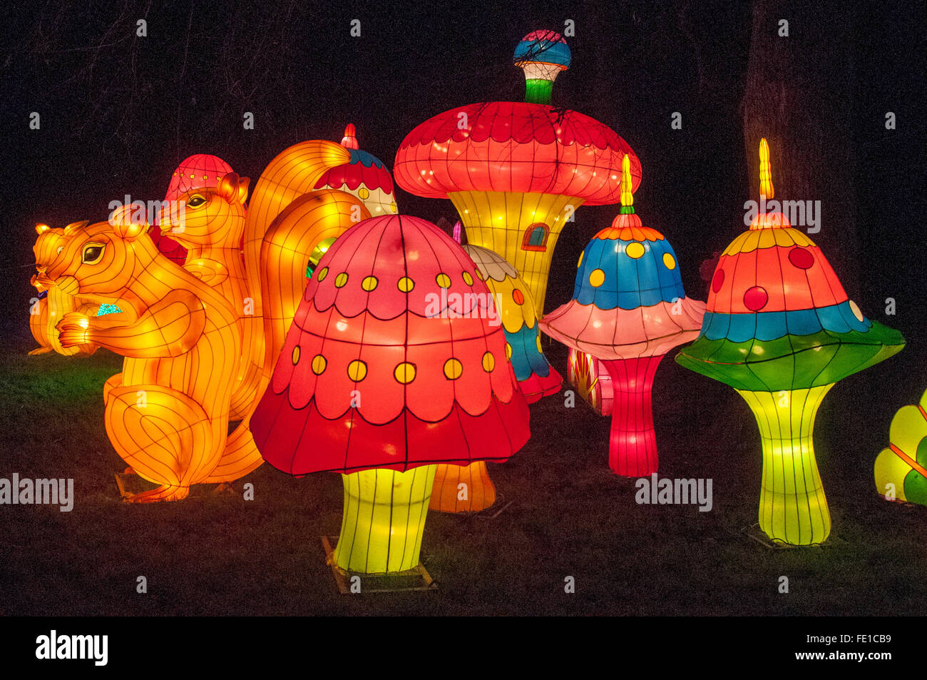 London, UK, 3 February 2016, Magical Lantern Festival opens at Chiswick ...