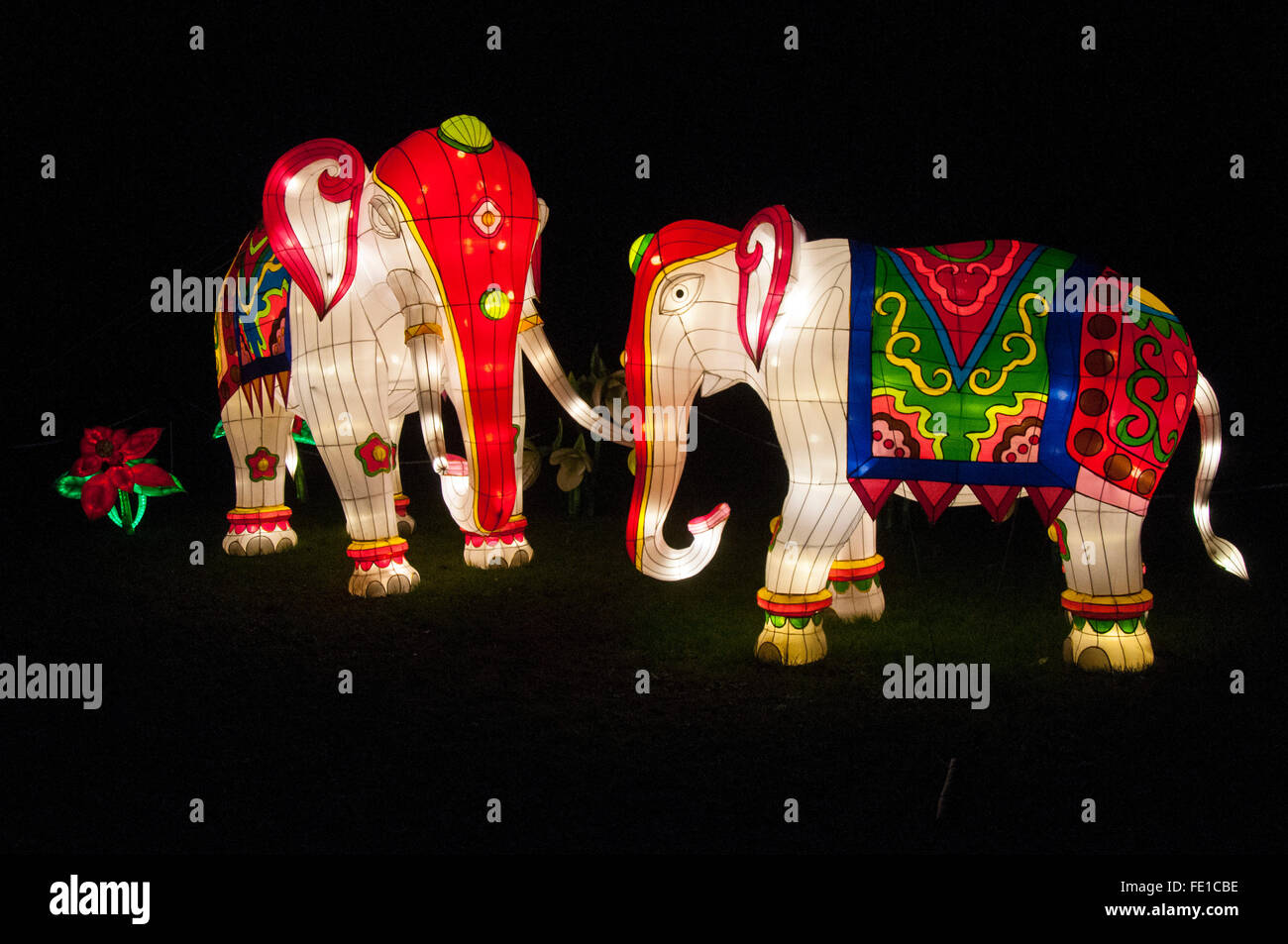 London, UK, 3 February 2016, Magical Lantern Festival opens at Chiswick ...