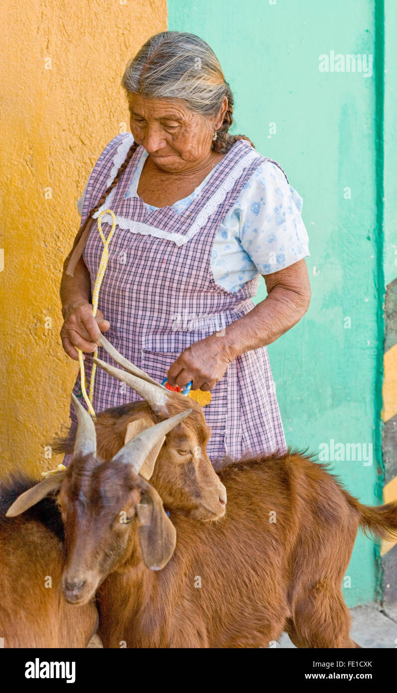 A local woman with goats in market, Ocotlan, Oaxaca, Mexico Stock Photo ...