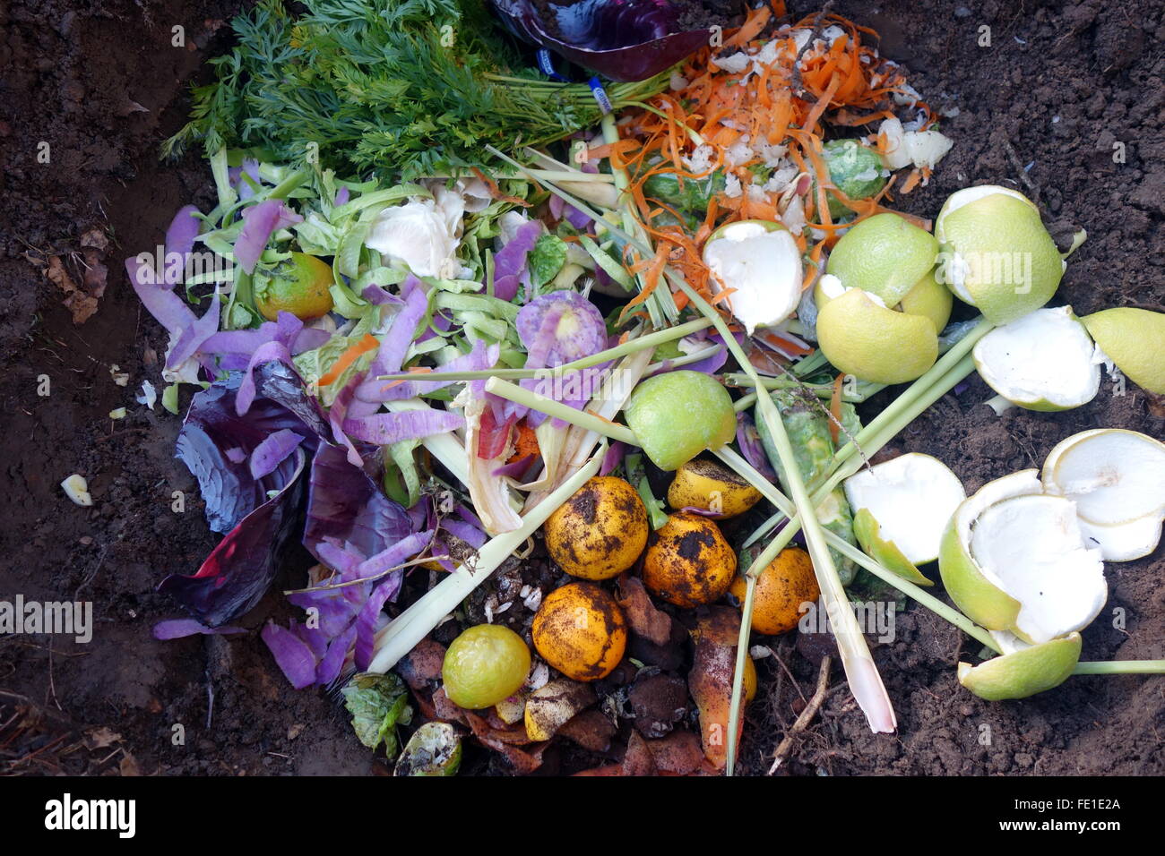 A hold filled with vegetable and fruit scraps ready for composting ...