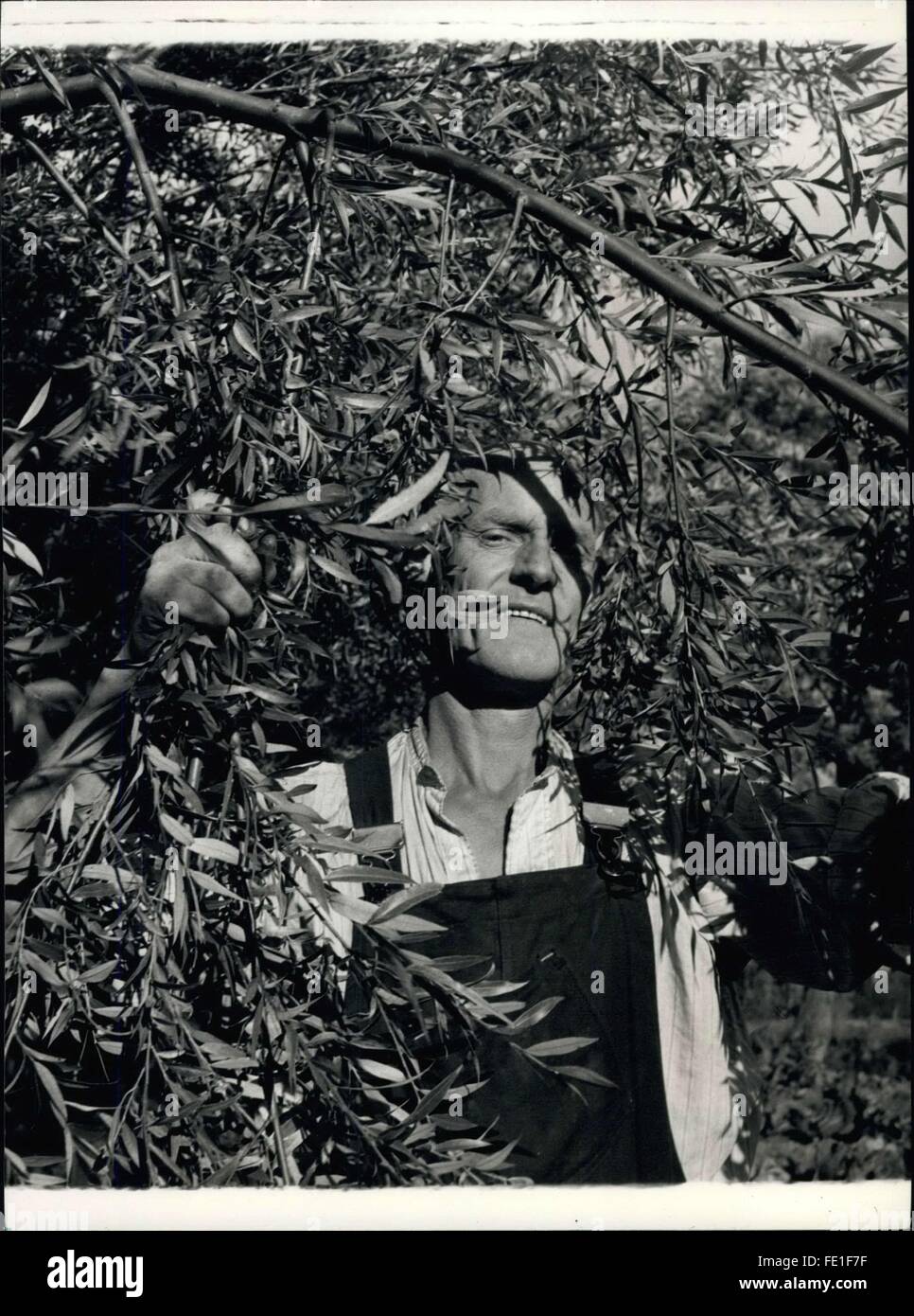 Frank gunnell hi-res stock photography and images - Alamy