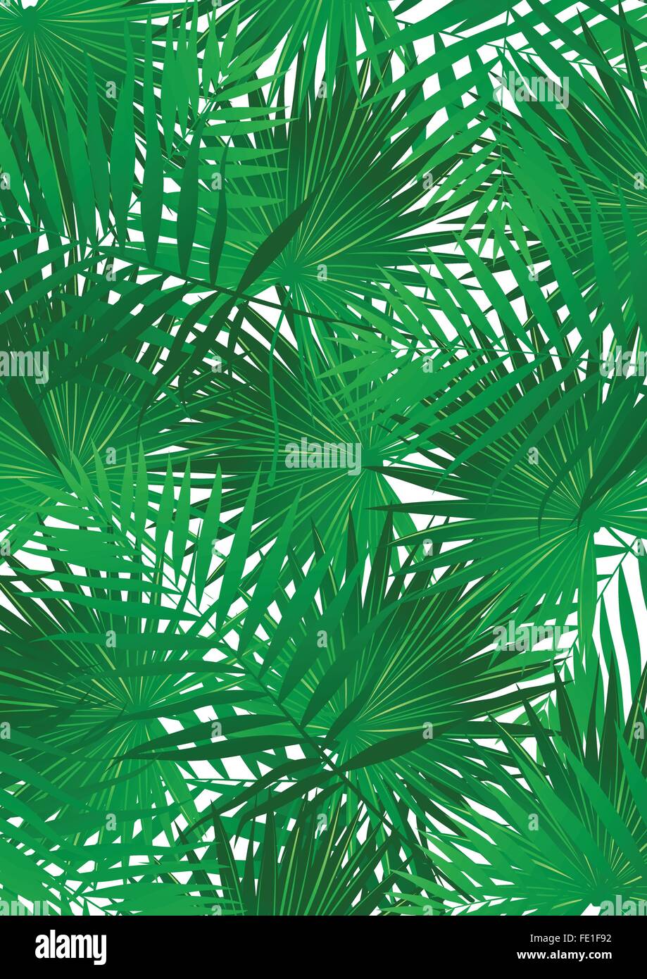 Tropical cabbage palm Stock Vector Images - Alamy