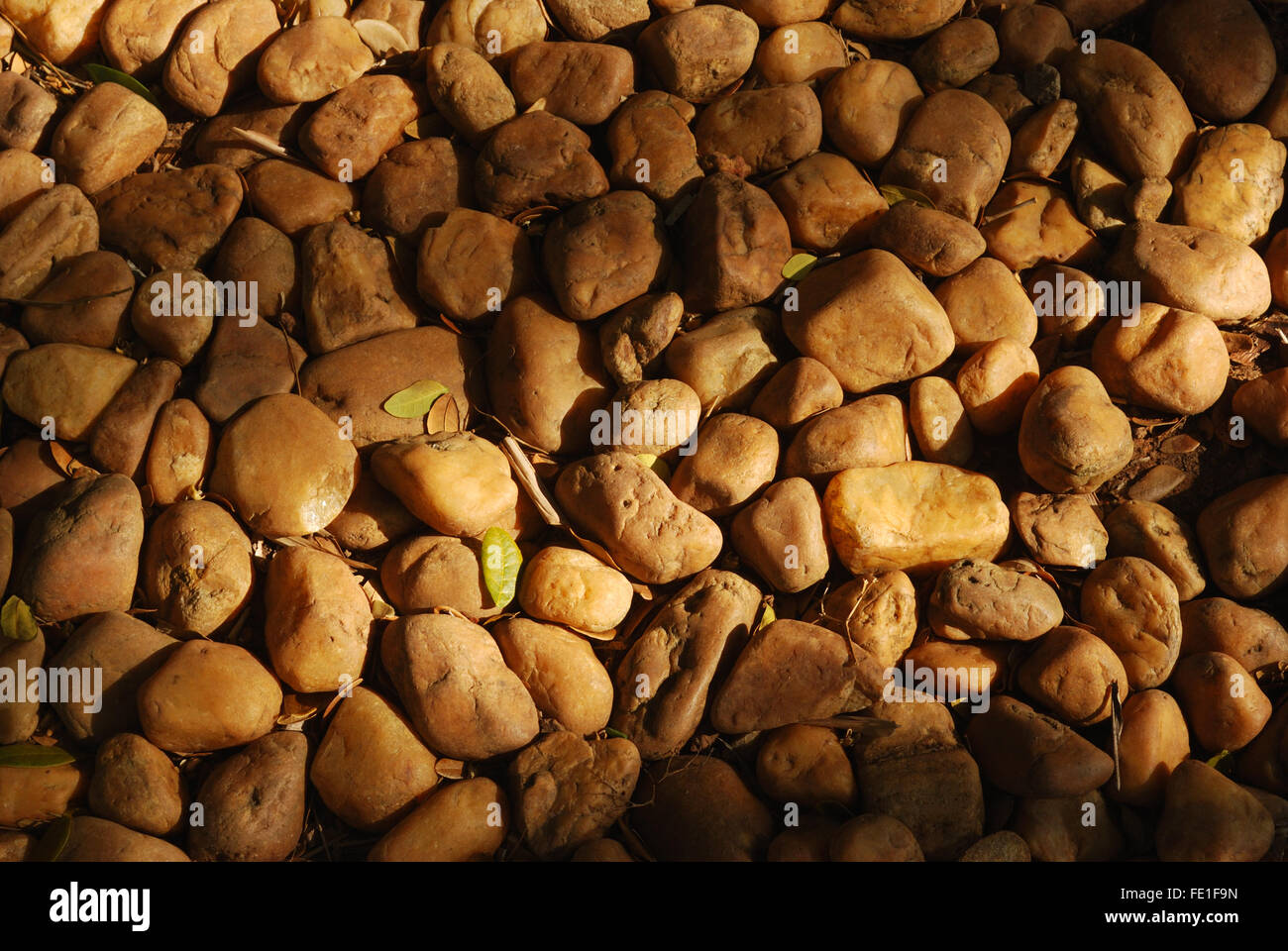 Garden pebbles hi-res stock photography and images - Alamy