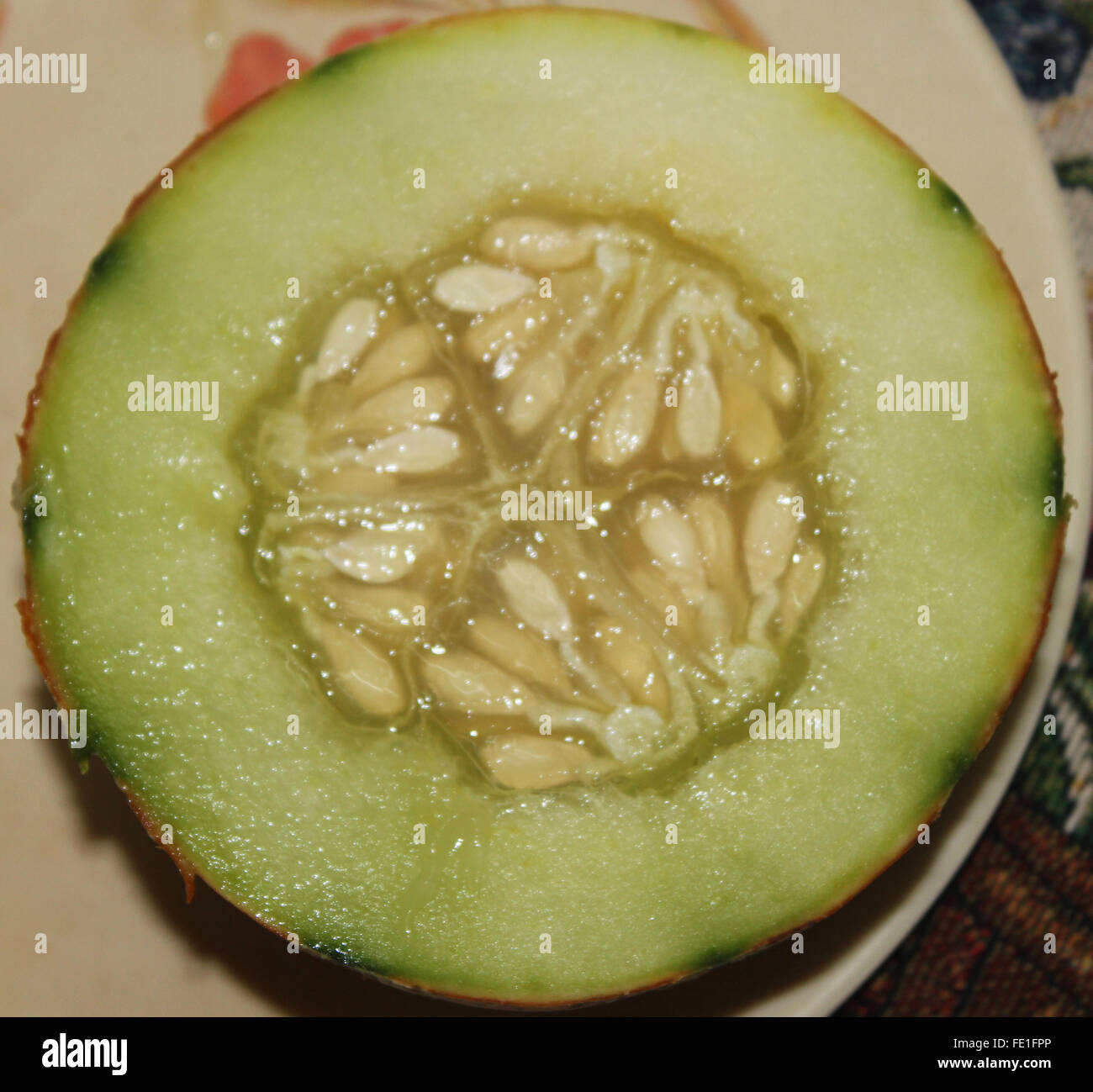 Cucumis melo ogen hi-res stock photography and images - Alamy