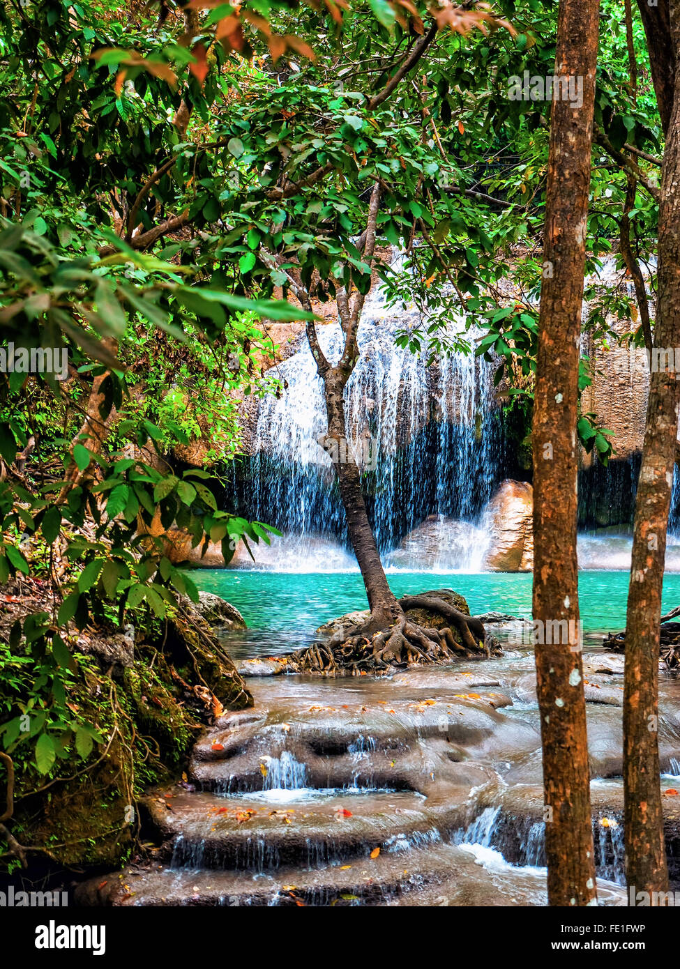 Waterfall in the jungle Stock Photo - Alamy