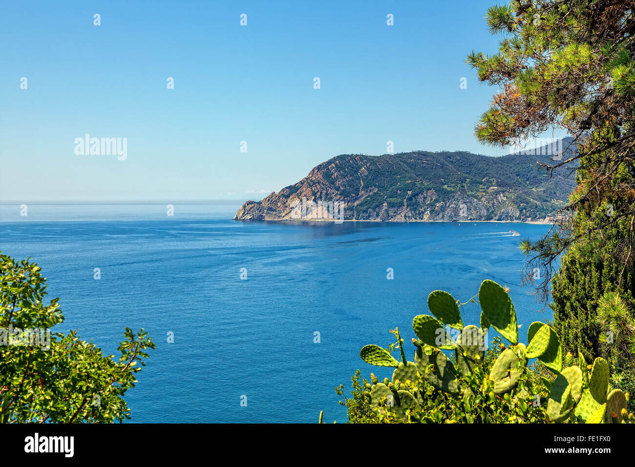 Panorama of the Ligurian Sea Stock Photo - Alamy