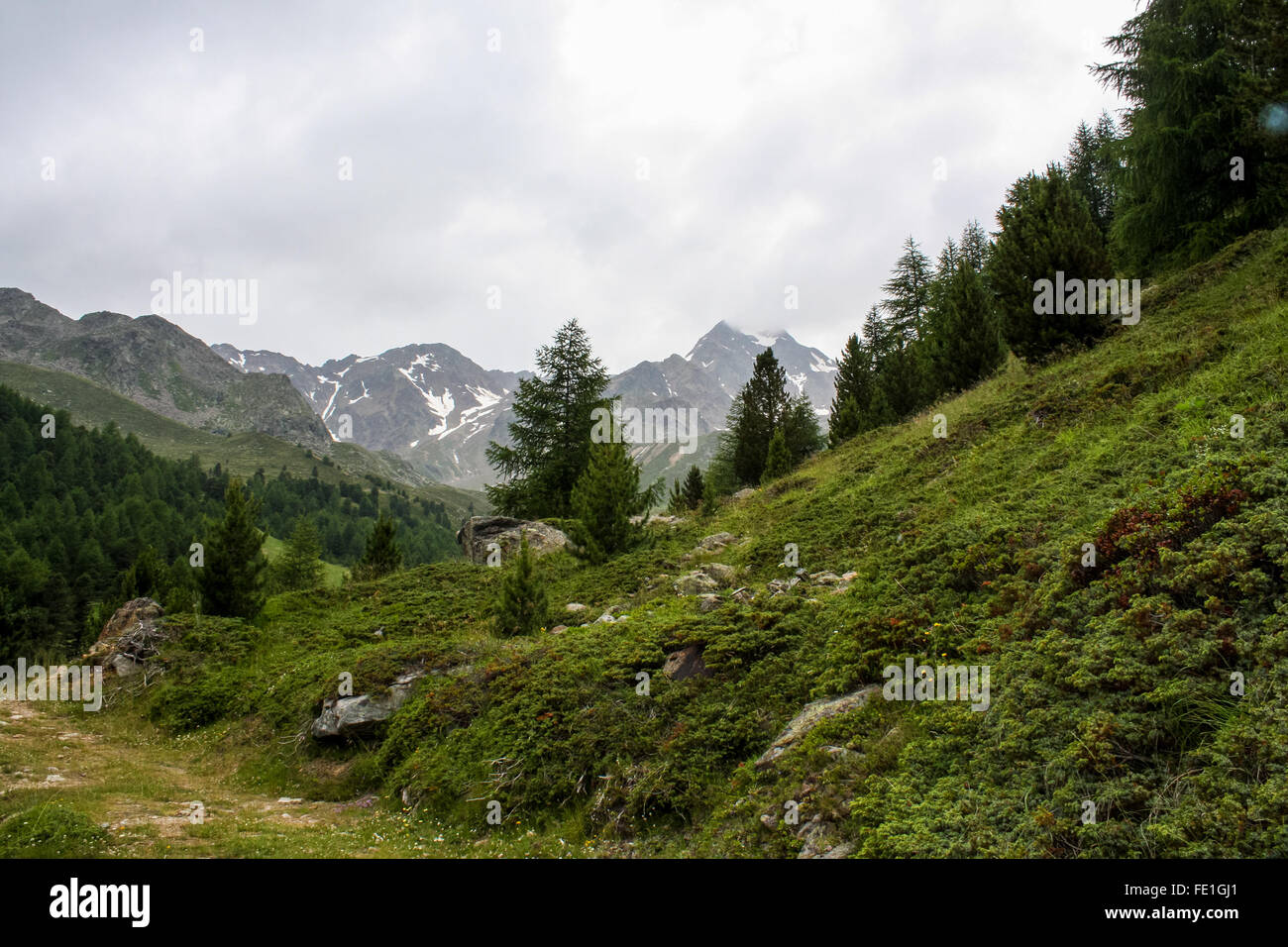 A beautiful view of the Austrian Alps Stock Photo - Alamy