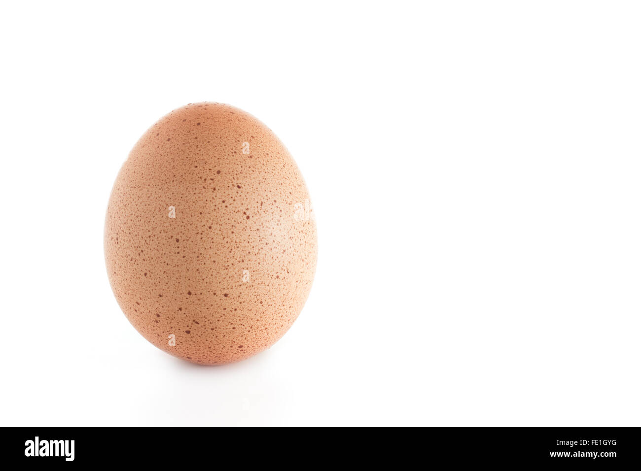 Brown chicken egg hi-res stock photography and images - Alamy