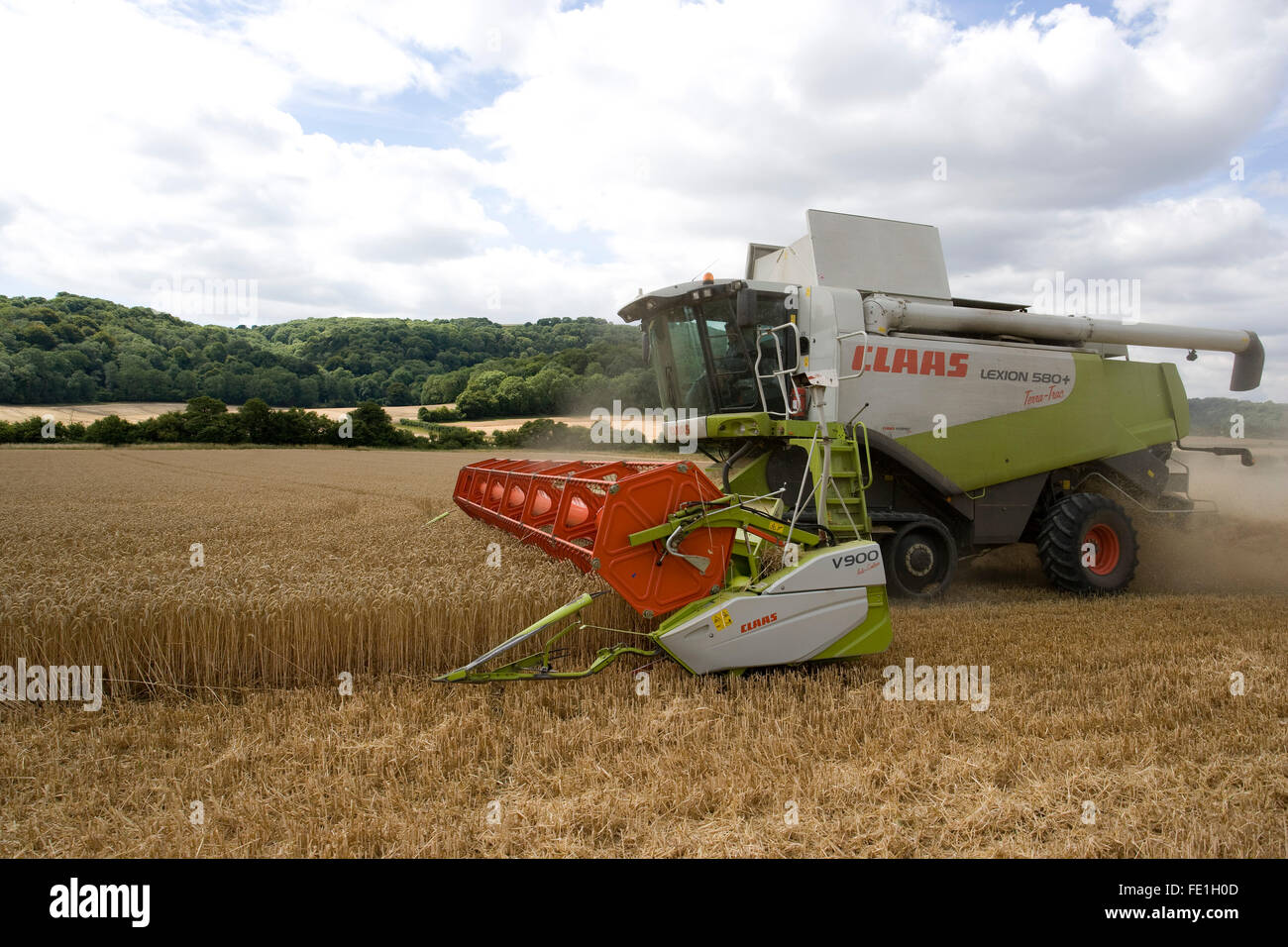 Combine harvester cutting crops in a field Stock Photo - Alamy