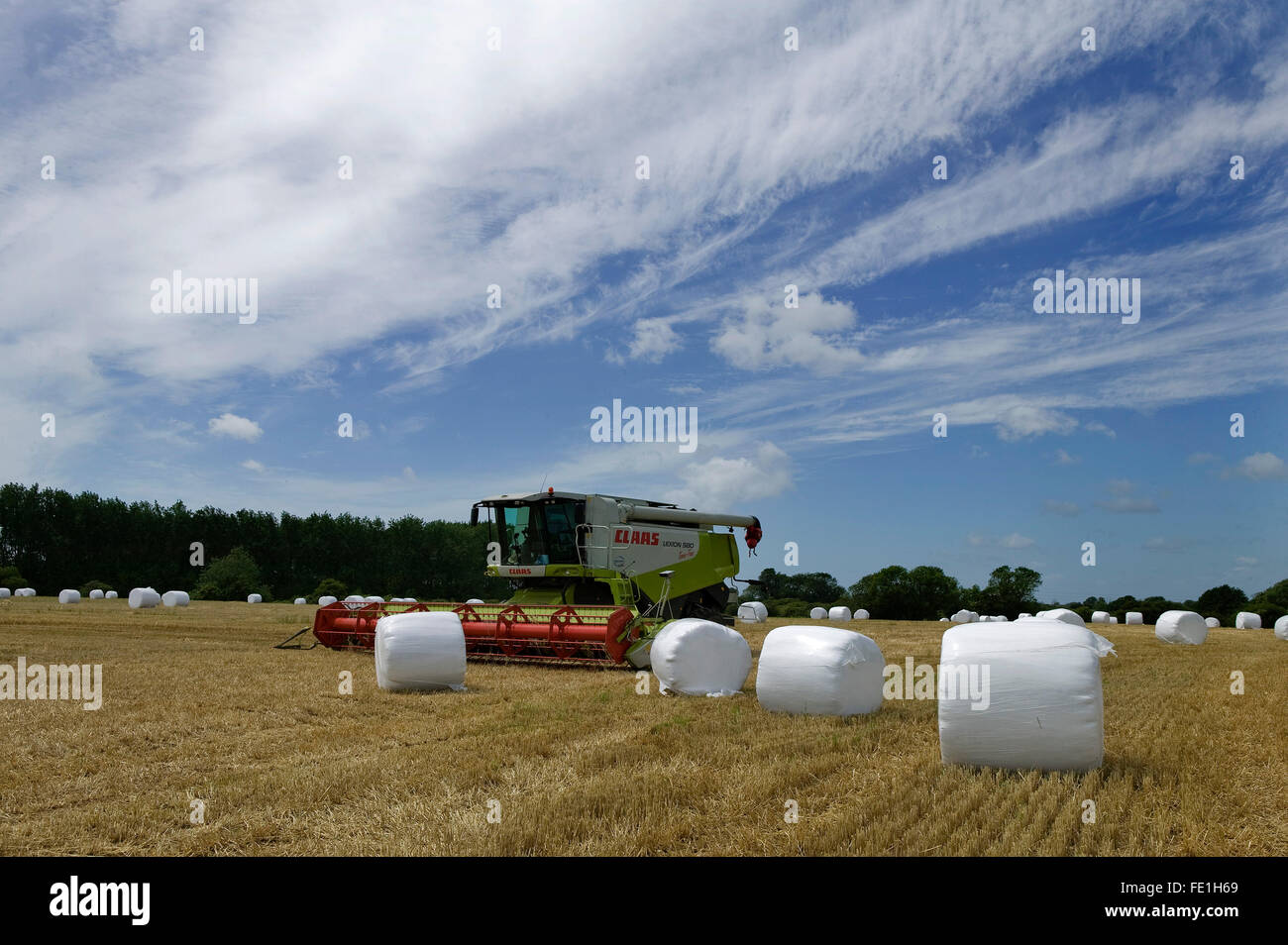 Combine harvester cutting crops in a field with hay bales Stock Photo ...