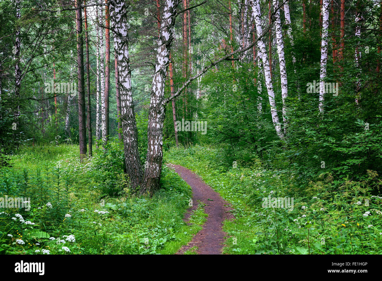 Siberia nature hi-res stock photography and images - Alamy