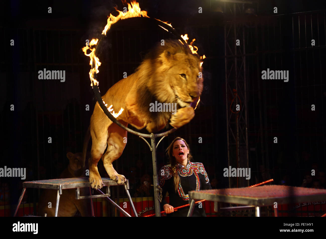Lion tamer 19th century hi-res stock photography and images - Alamy