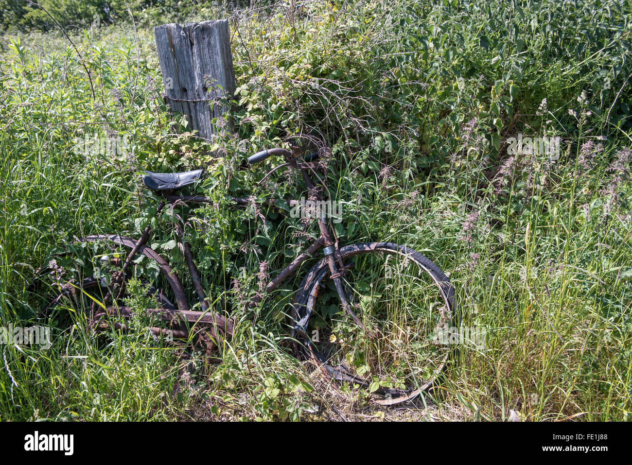 Rusty old Bike Stock Photo - Alamy