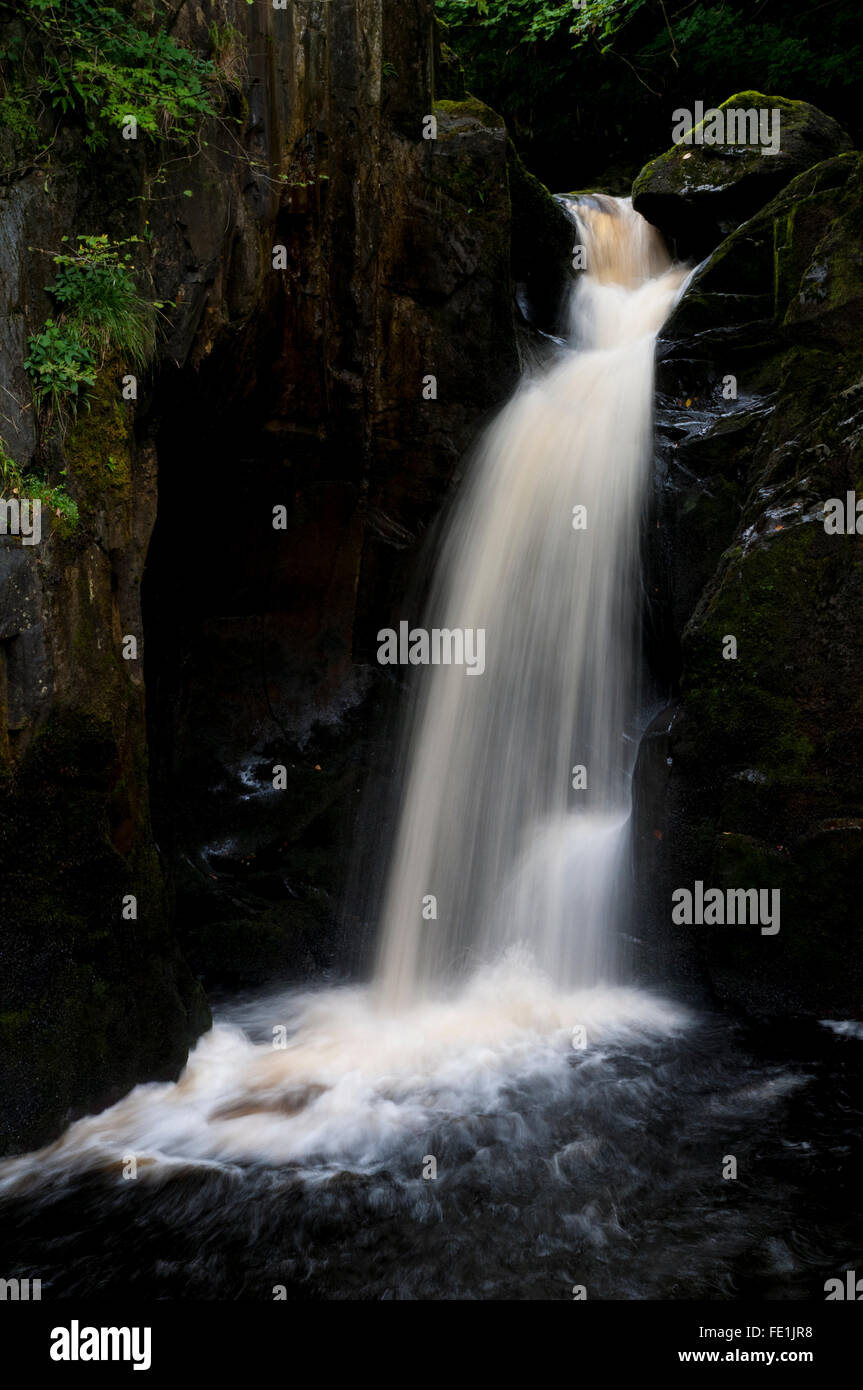 Hollybush Spout on the River Twiss, Ingleton Waterfalls Trail, Ingleton ...