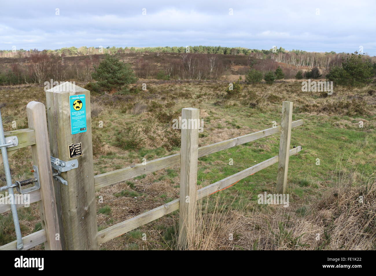 Gate without a fence hi-res stock photography and images - Alamy