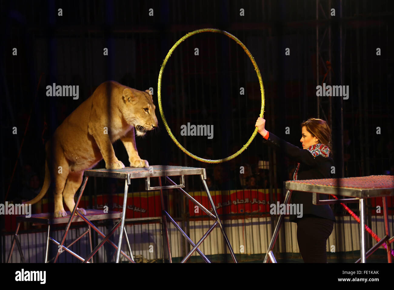 Lion trainer hi-res stock photography and images - Alamy
