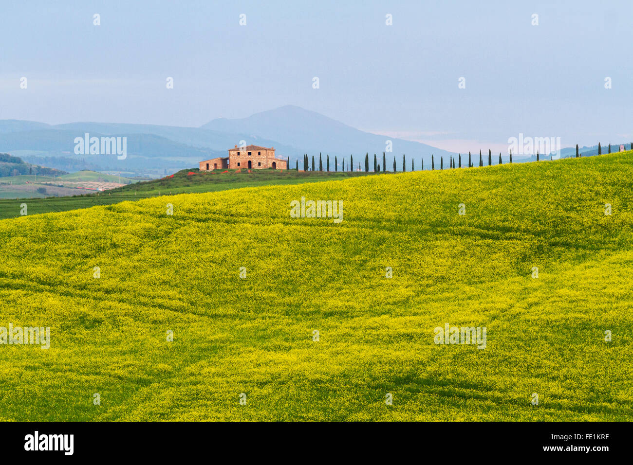 Crete Senesi, Tuscany, Italy Stock Photo - Alamy
