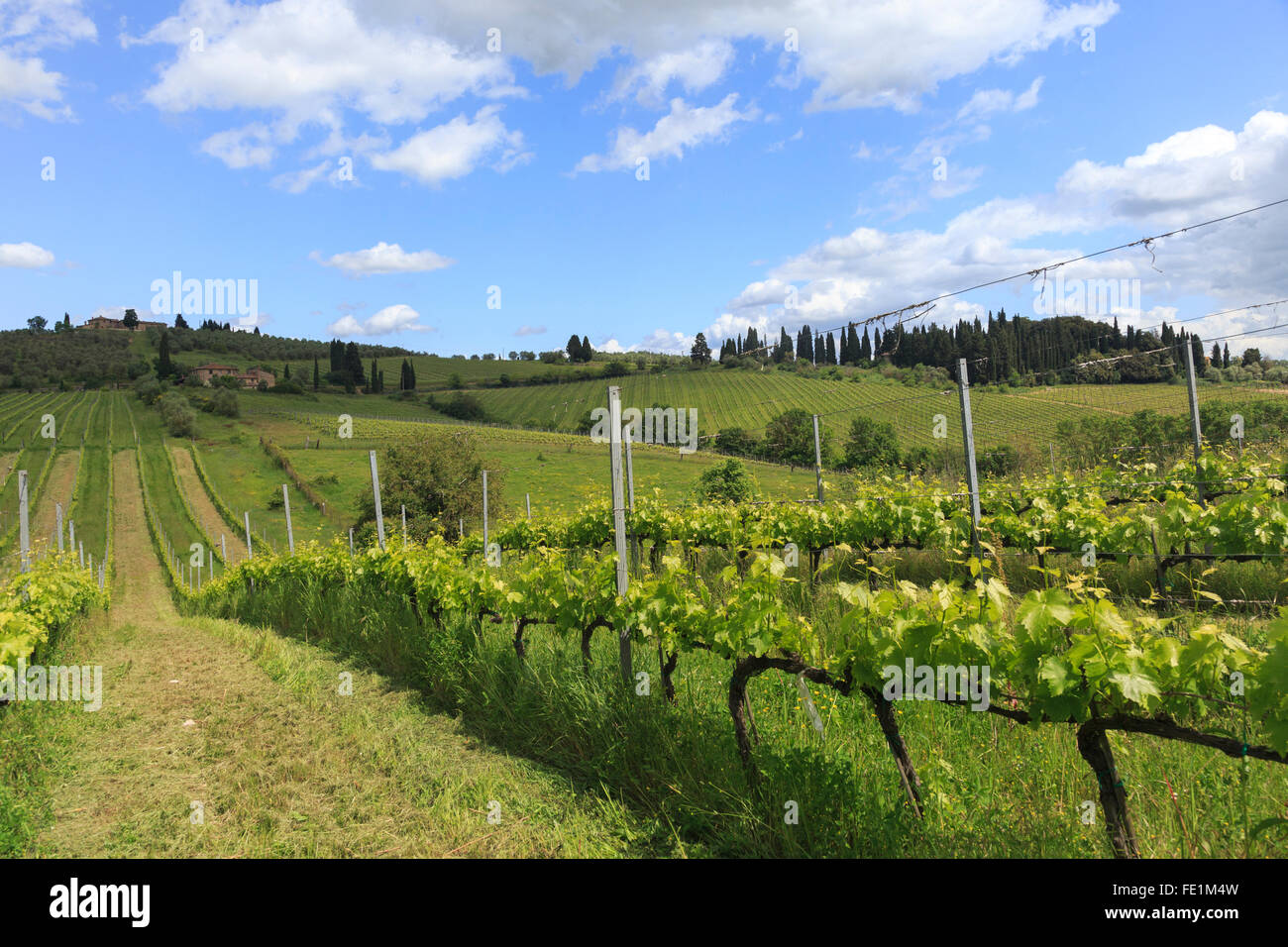 Chianti wine region in Tuscany, Italy Stock Photo - Alamy