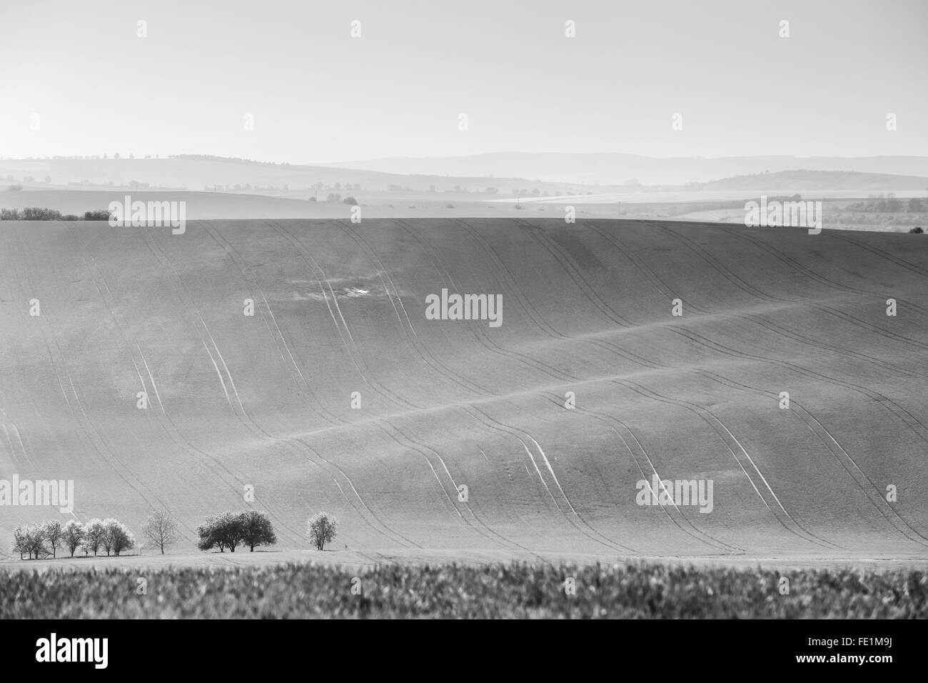 Czech Moravia hills. Agriculture . Arable lands in spring Stock Photo ...
