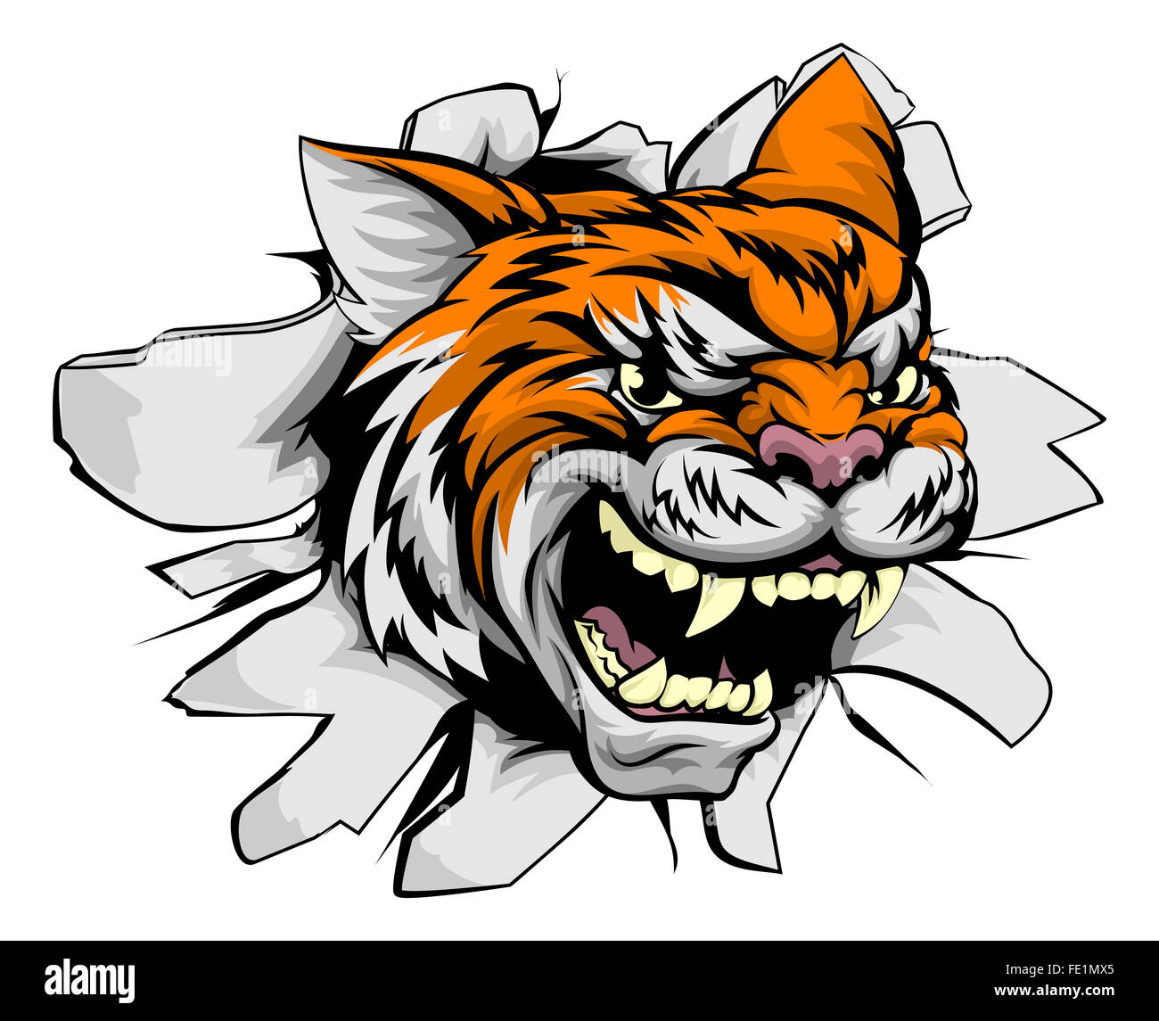 Mean Tiger Cartoon