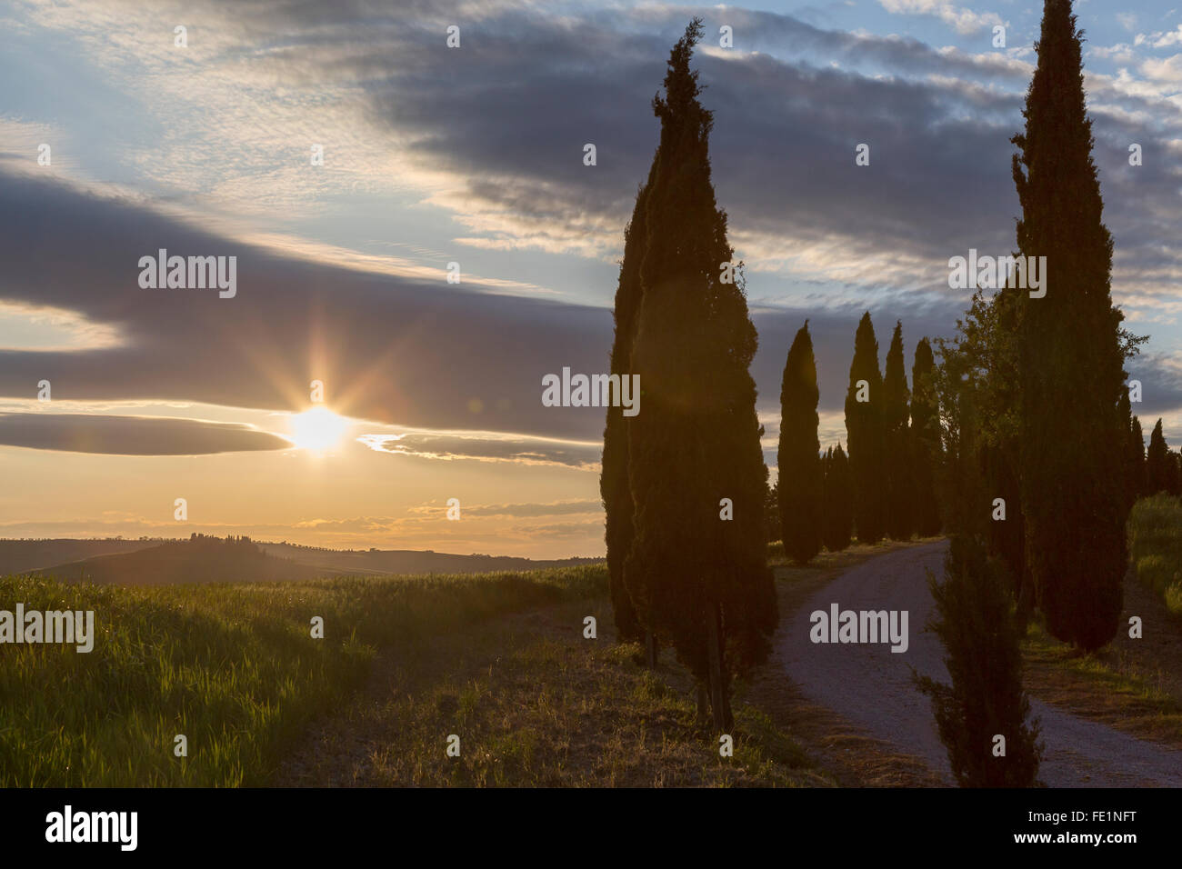 Crete Senesi, Tuscany, Italy Stock Photo - Alamy