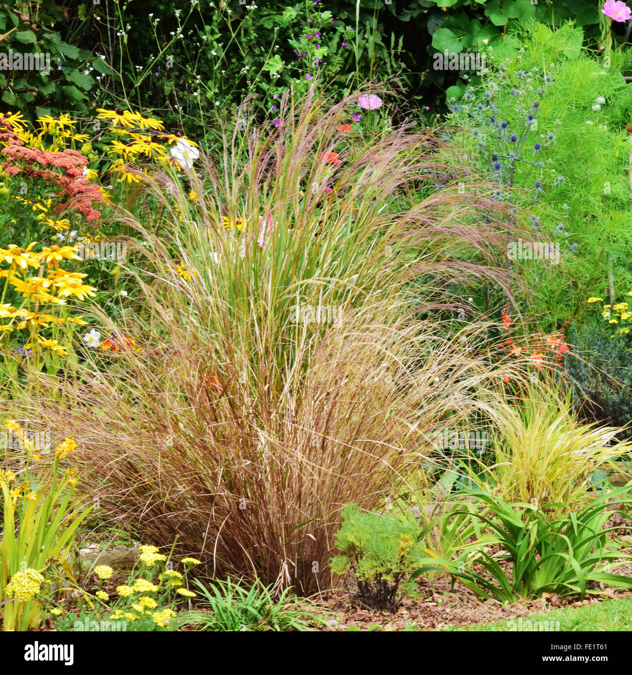 Beautiful garden scene hi-res stock photography and images - Alamy