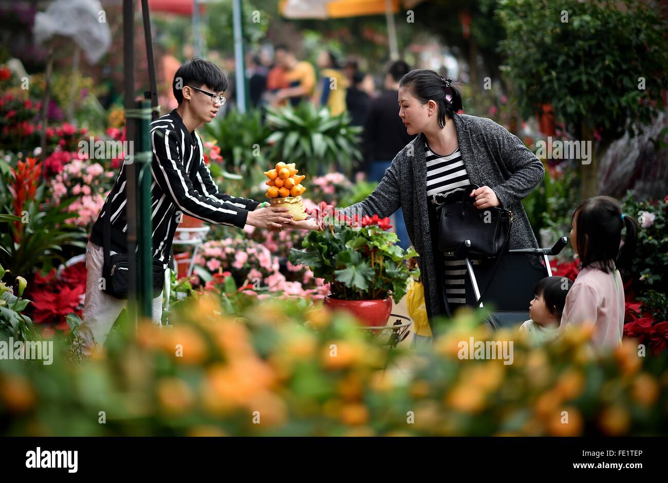 Haikou, China's Hainan Province. 4th Feb, 2016. Residents purchase ...