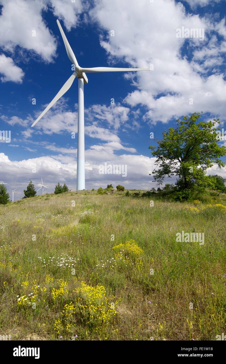 group of windmills for renewable electric energy production, Navarre ...