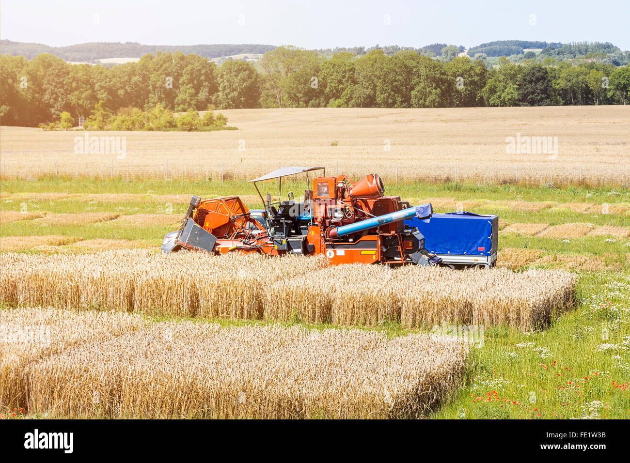 Orange harvest machine hi-res stock photography and images - Alamy