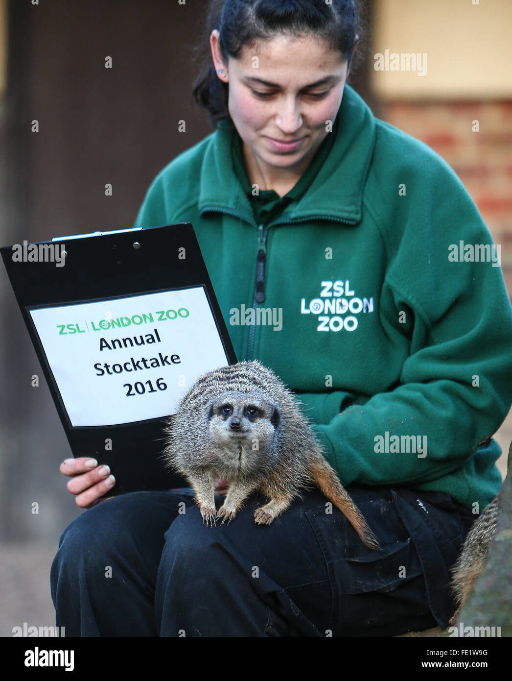 Members of staff at London Zoo take part in the annual animal stocktake ...