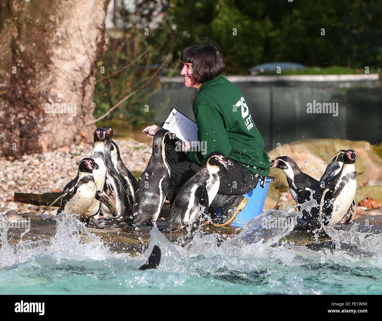 Members of staff at London Zoo take part in the annual animal stocktake ...