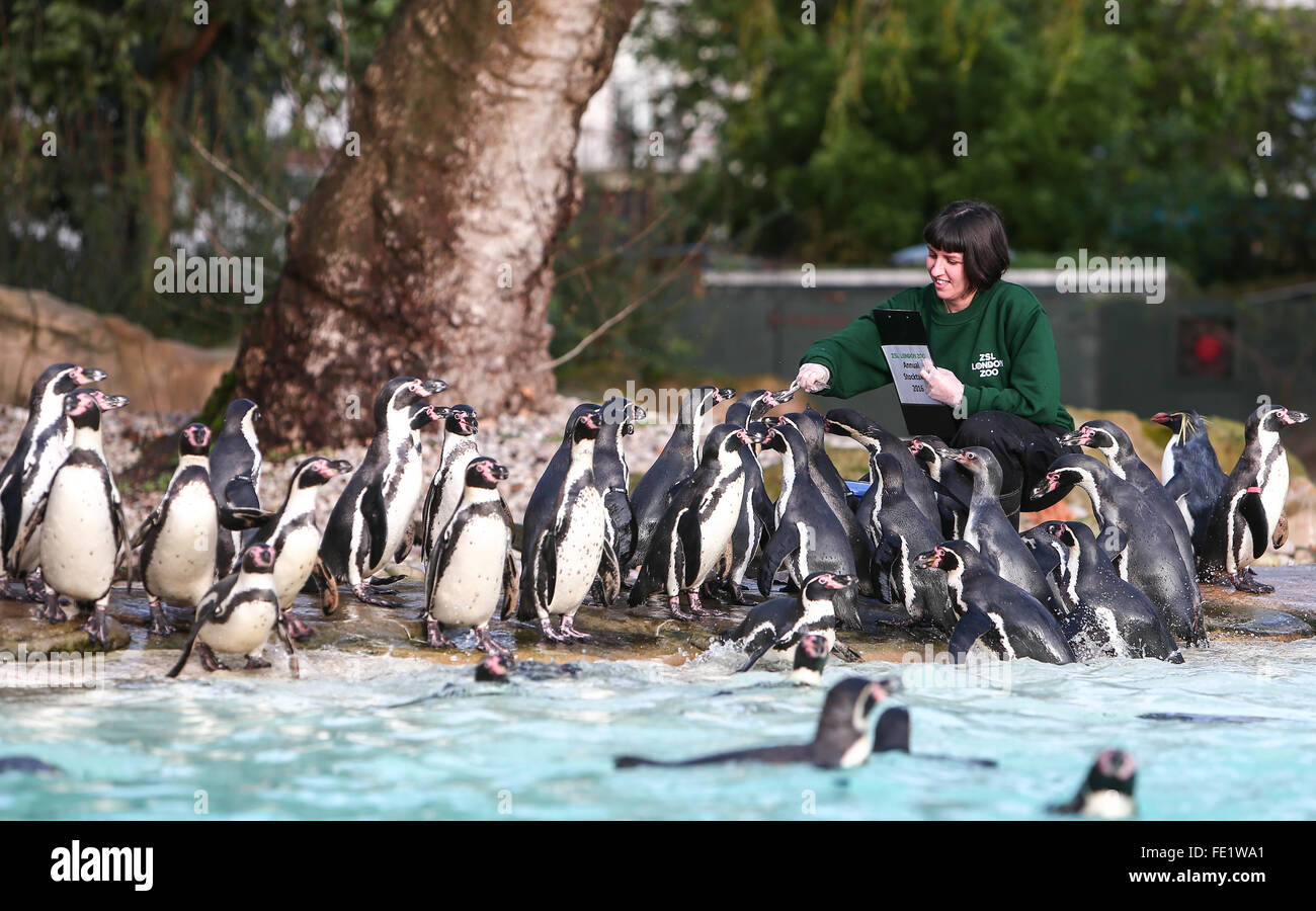 London zoo staff hi-res stock photography and images - Alamy