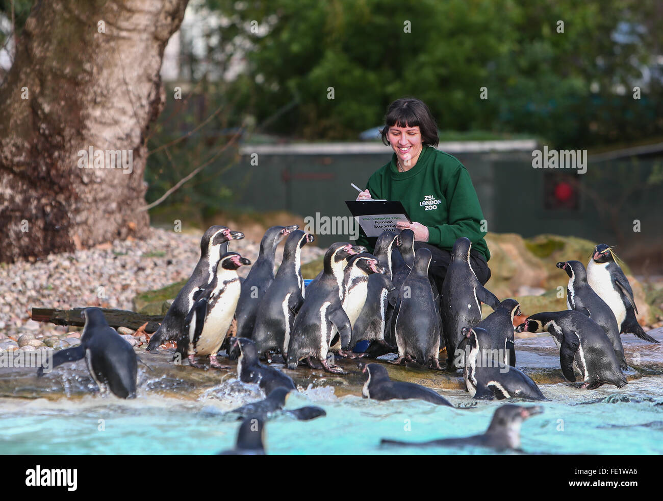 Members of staff at London Zoo take part in the annual animal stocktake ...