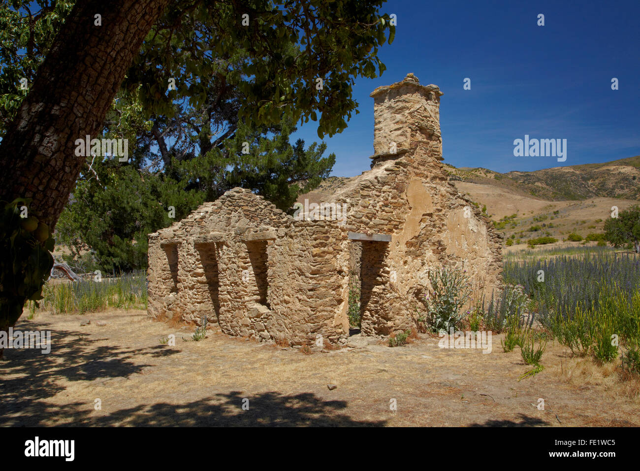 Historic cottage ruins from the goldrush, Stewart Town, Bannockburn ...