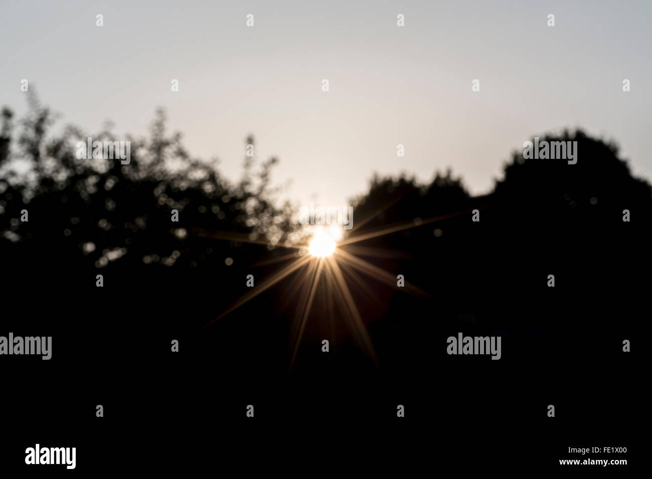 blurred sunset behind trees for backgrounds Stock Photo - Alamy