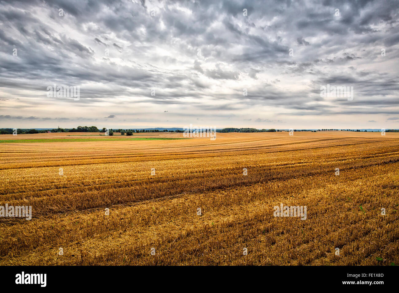 HDR landscape with harvested fields in summer Stock Photo - Alamy